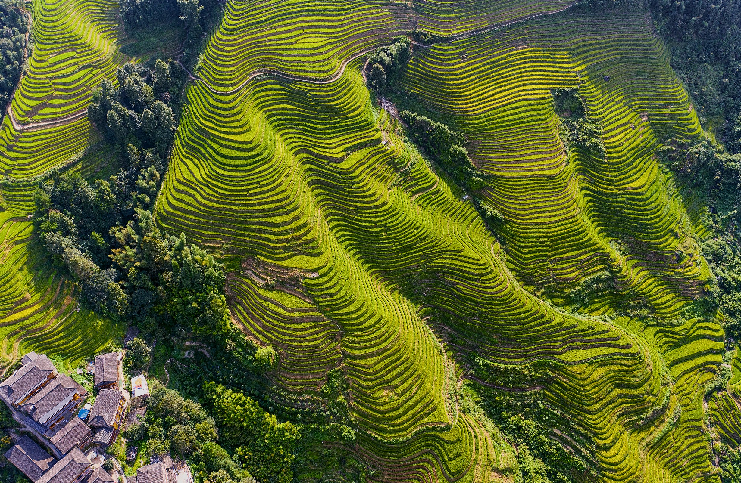 GoToChinaNow - China Local Travel Experts